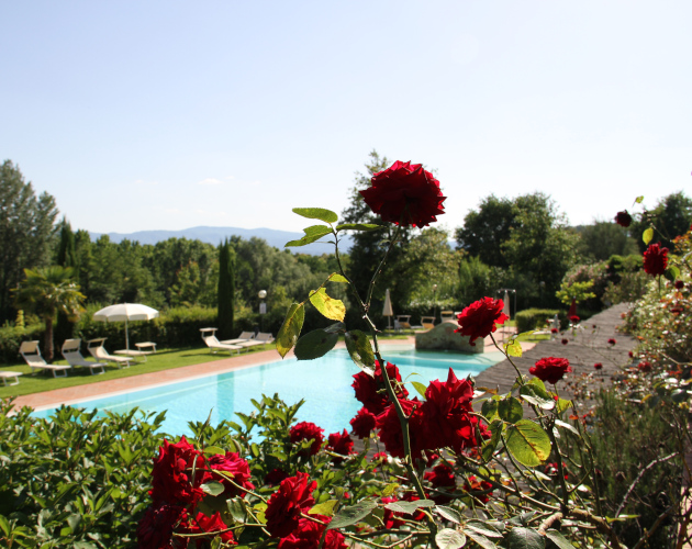Hotel with Pool in Reggello, near Florence in Tuscany